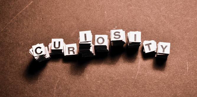 Channelling Curiosity | The Headteacher's Blog